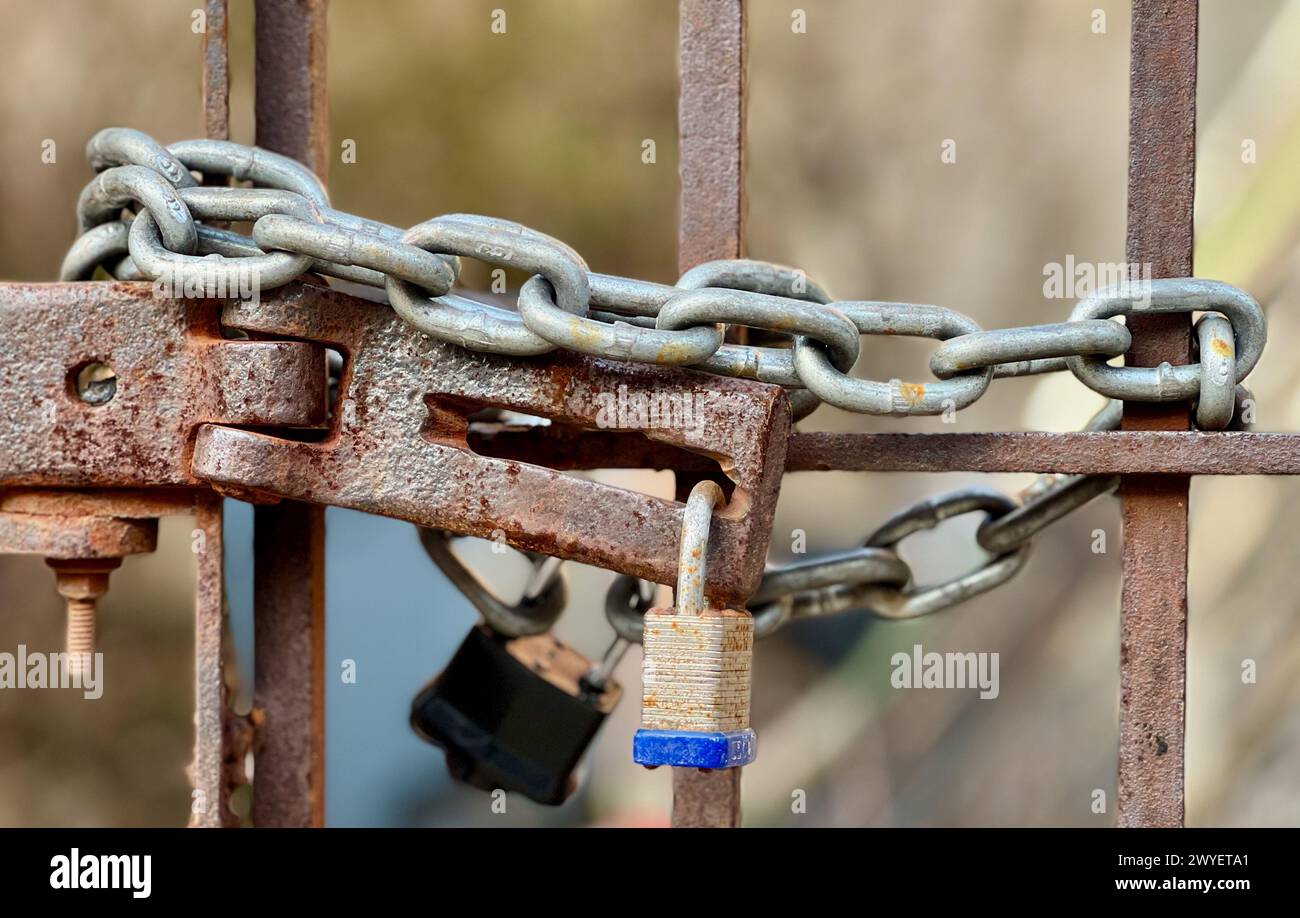 Padlocks and a chain secure a gate Stock Photo - Alamy
