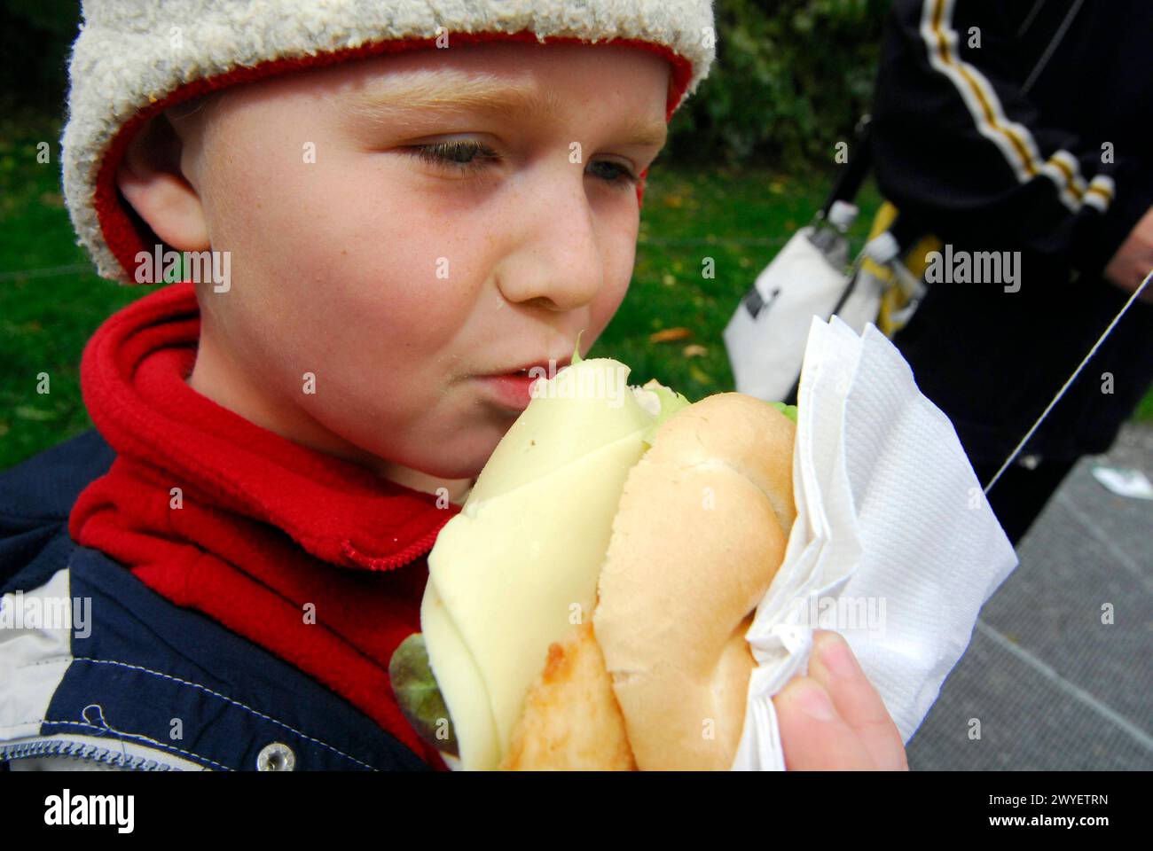 animal cheese as a food source in nutrition and diet animal cheese as a ...