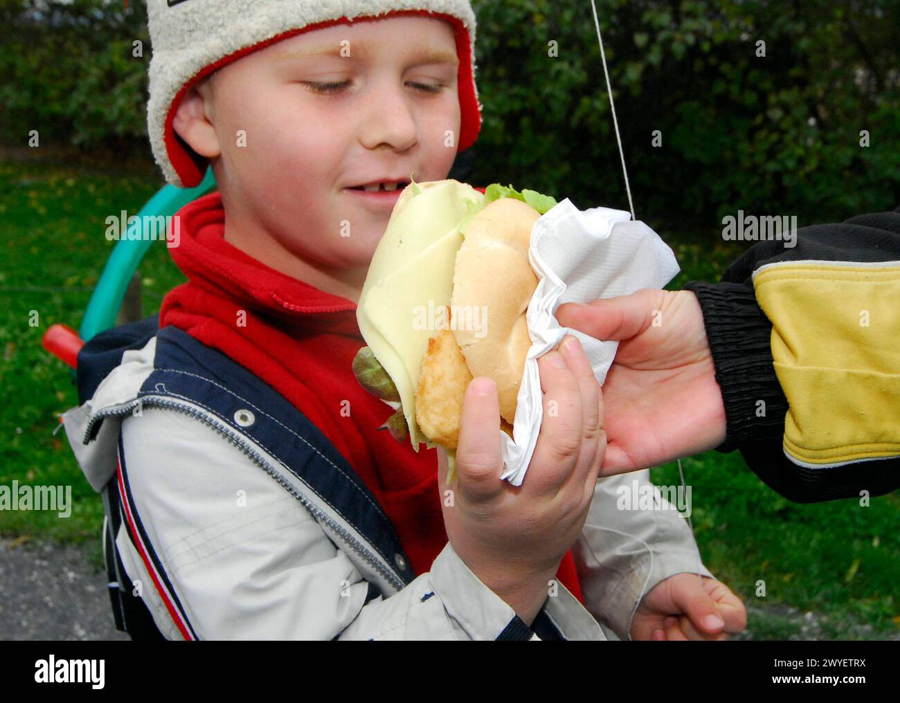 animal cheese as a food source in nutrition and diet animal cheese as a ...