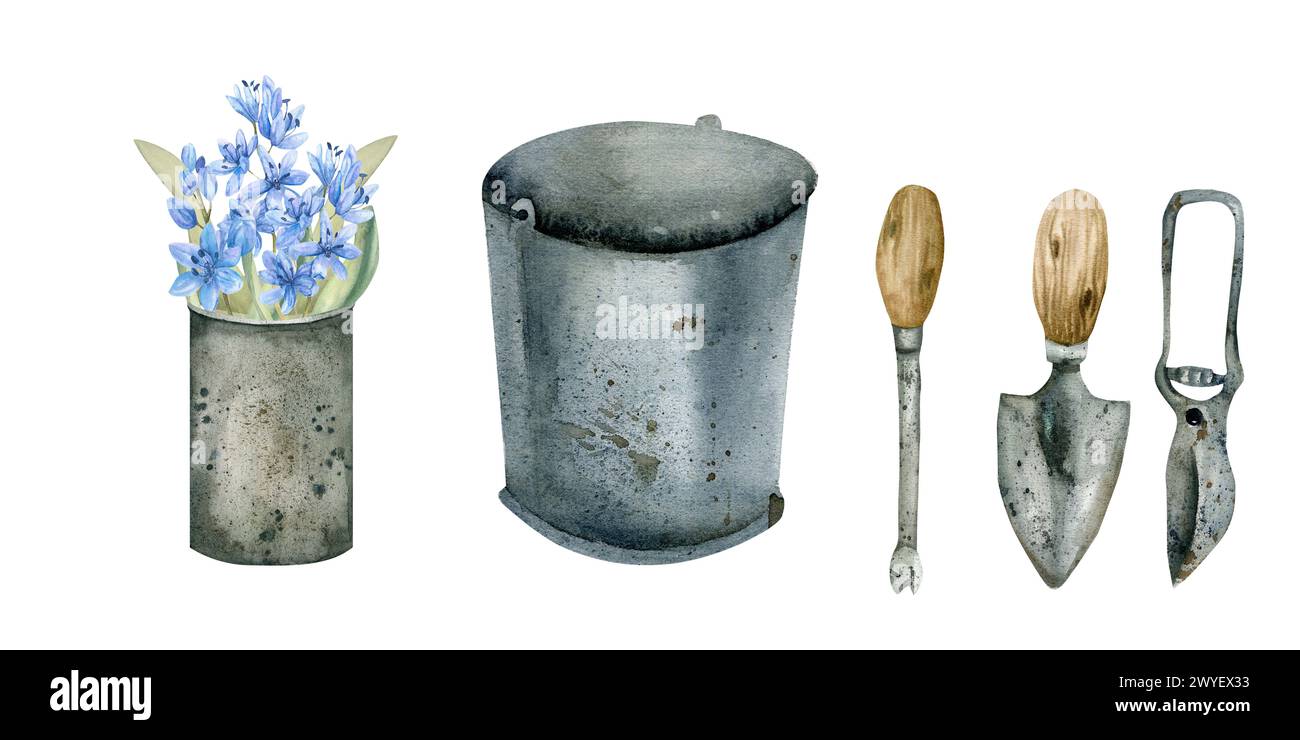 Gardening tool set with blue spring flowers in metal vintage bucket ...