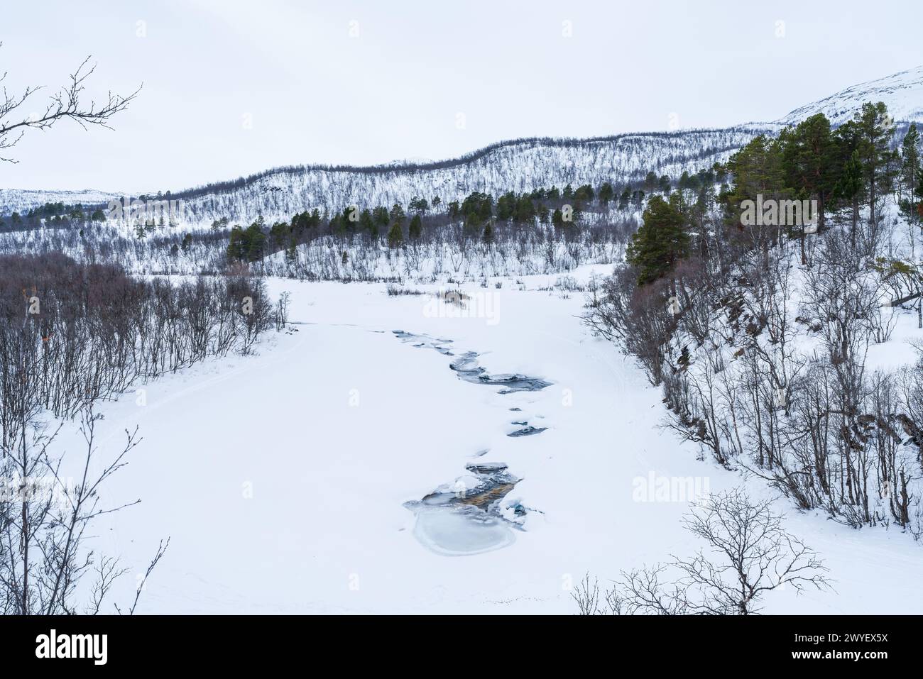 Winter landscape in Abisko National Park, Abisko, Sweden Stock Photo ...