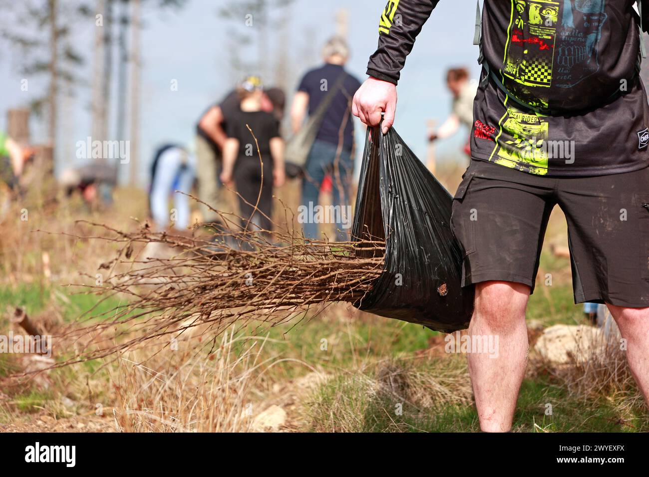 Wernigerode, Germany. 06th Apr, 2024. Volunteers carry tree seedlings ...
