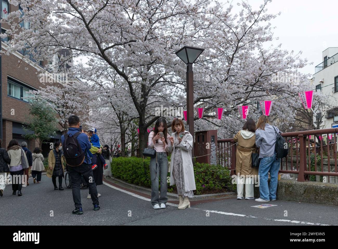 Tokyo, Japan. 06th Apr, 2024. Women look at their mobile devices ...
