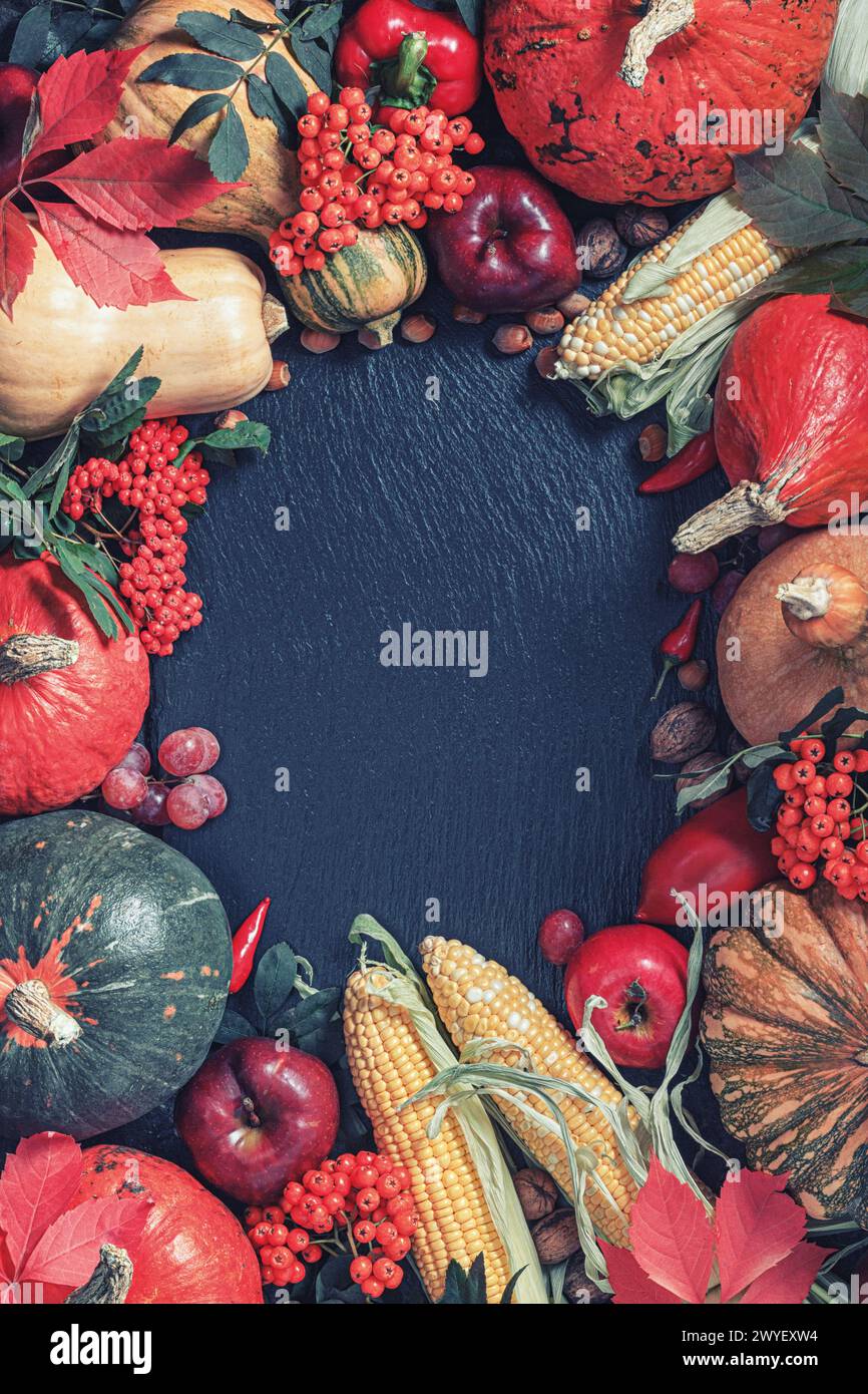 Autumn agricultural frame made of fruits and vegetables with copy space ...