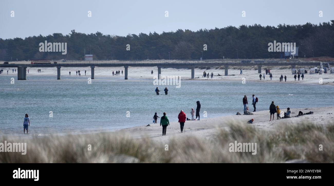 Prerow, Germany. 06th Apr, 2024. Many people take advantage of the ...