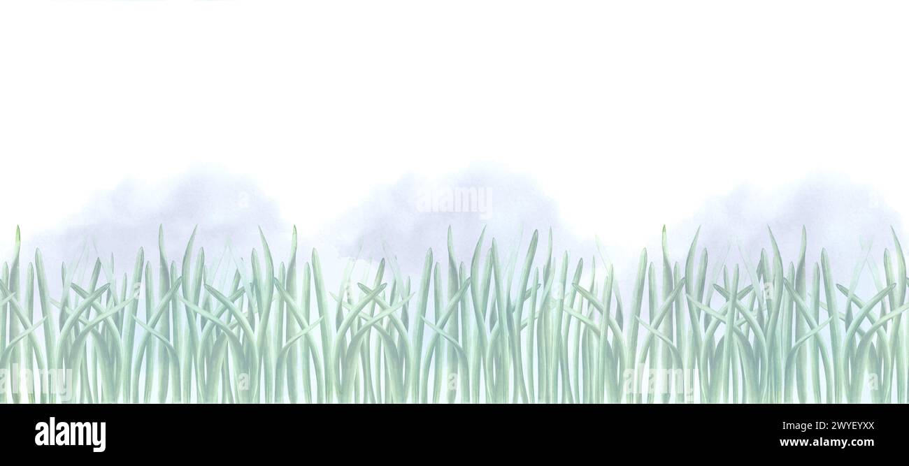 Green grass in blue fog, morning dew, seamless border, pattern ...