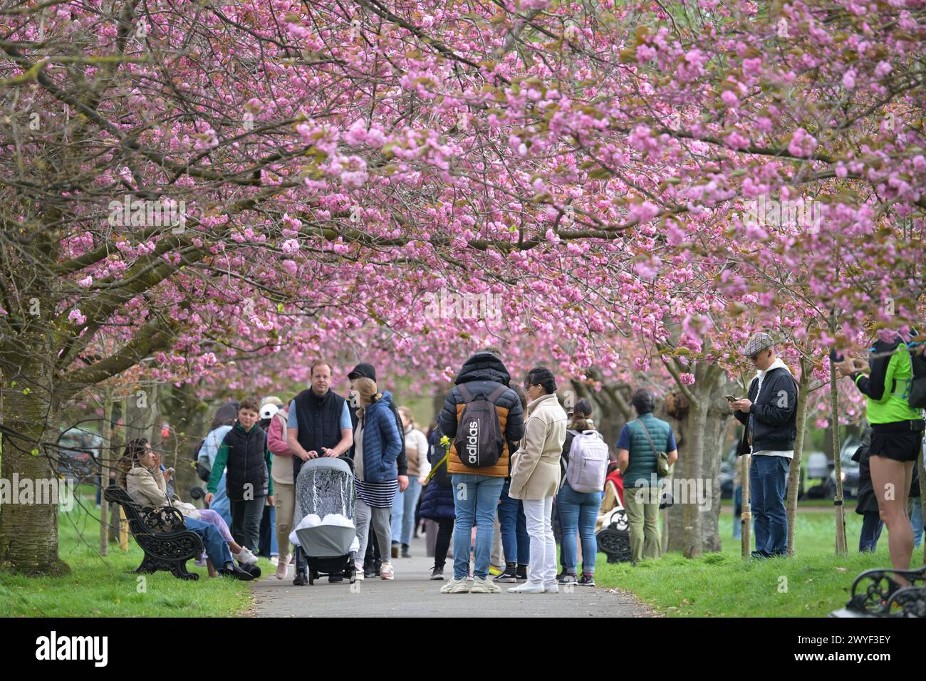Warm Spring weather Greenwich London Visitors to Greenwich Park London ...