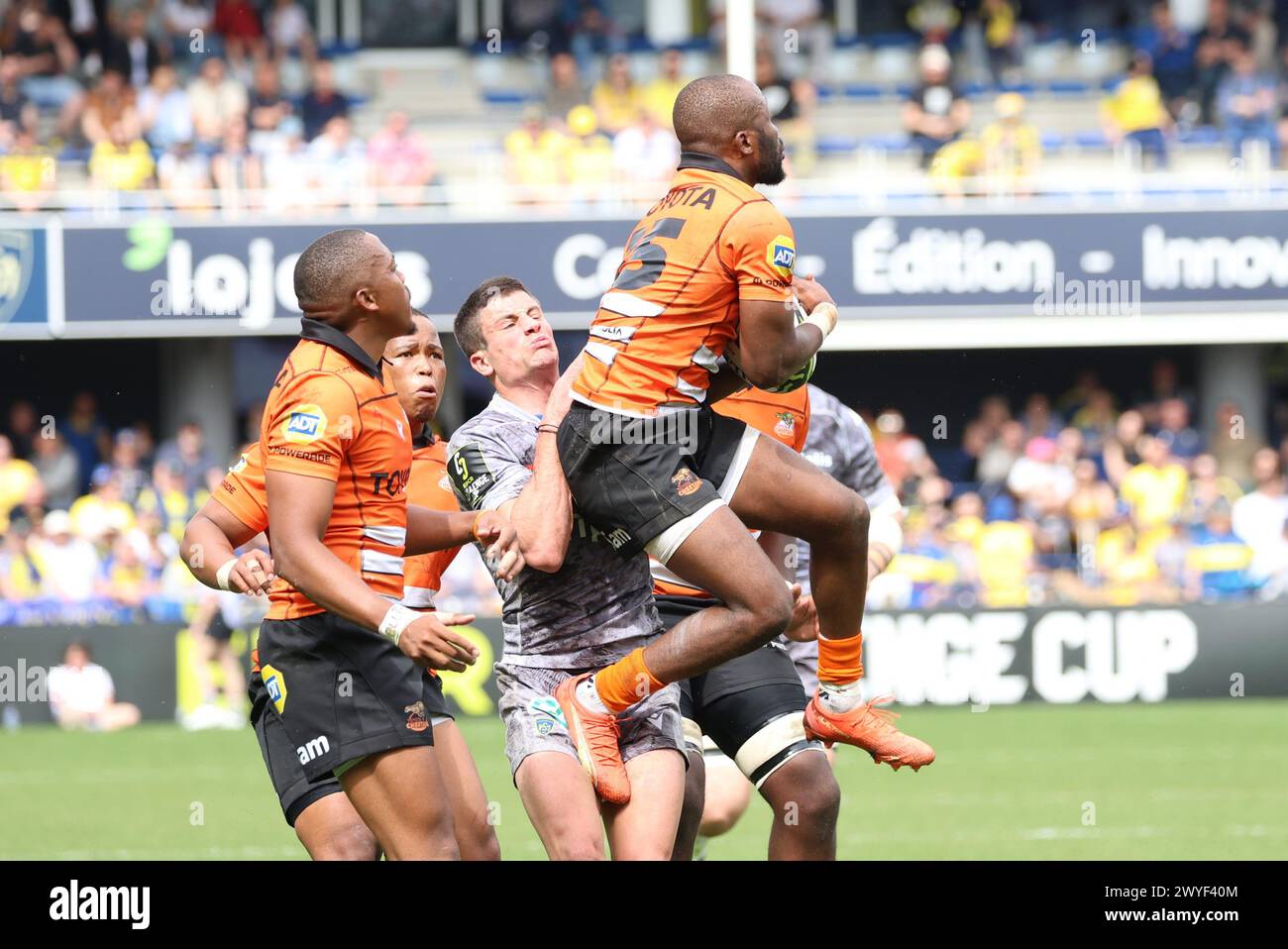 Mafura hi-res stock photography and images - Alamy