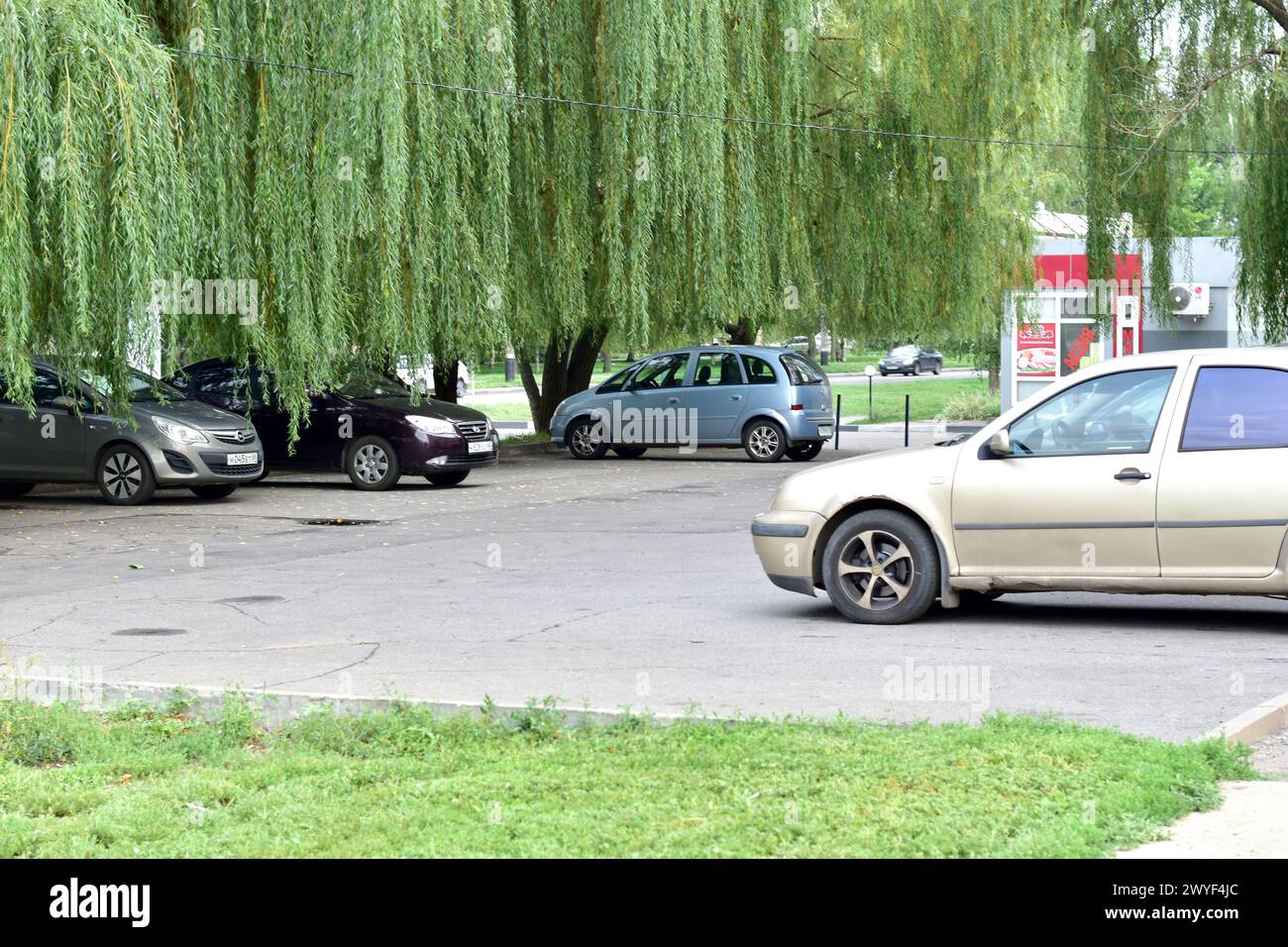 A Group Of Cars Stands Under The Trees In The City Stock Photo - Alamy