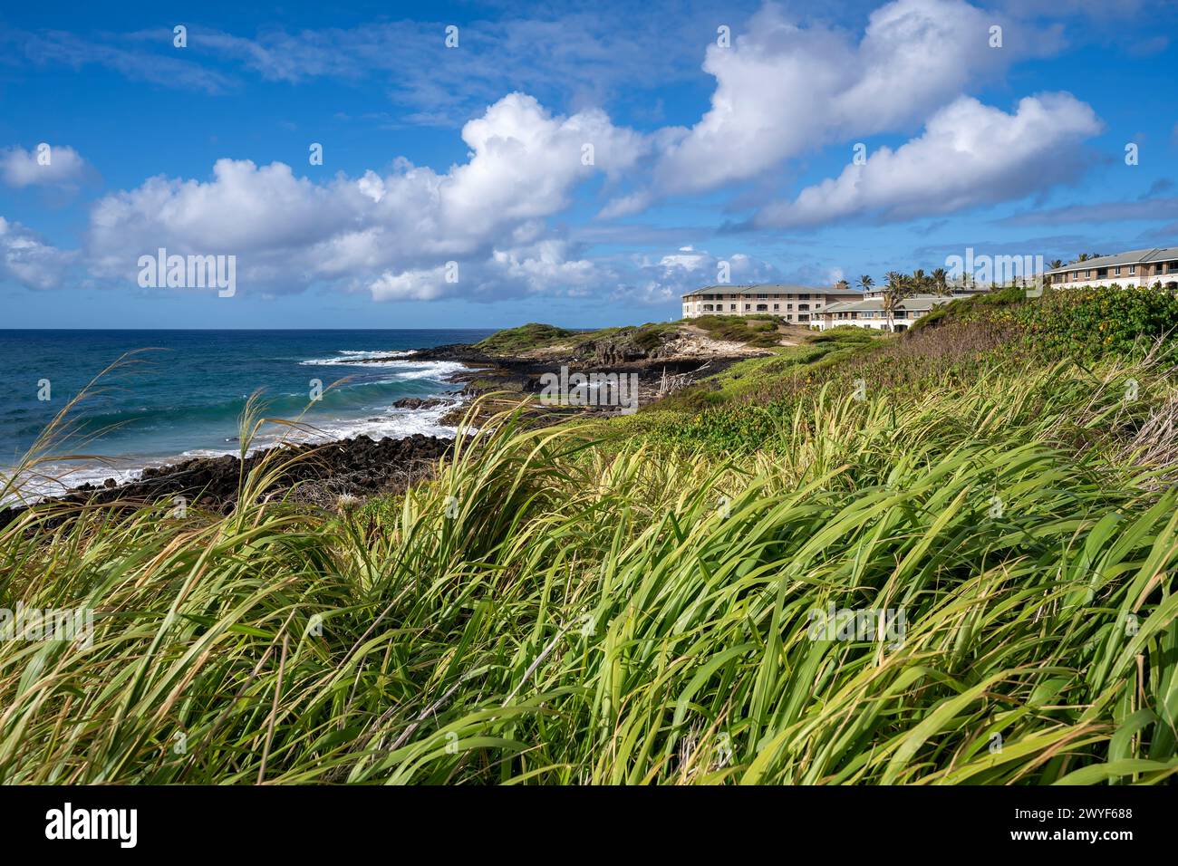 Warm ocean breezes hi-res stock photography and images - Alamy