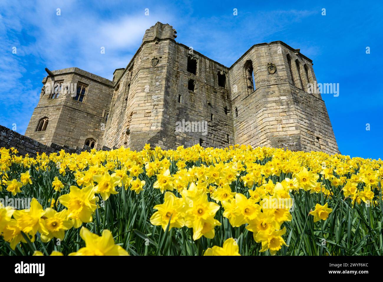 England flowers castle hi-res stock photography and images - Alamy