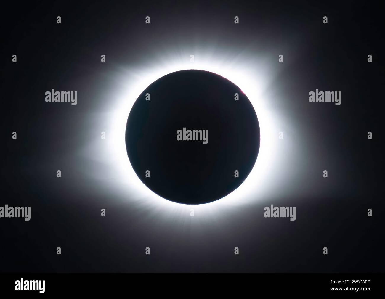 Solar eclipse black circle totality hi-res stock photography and images ...