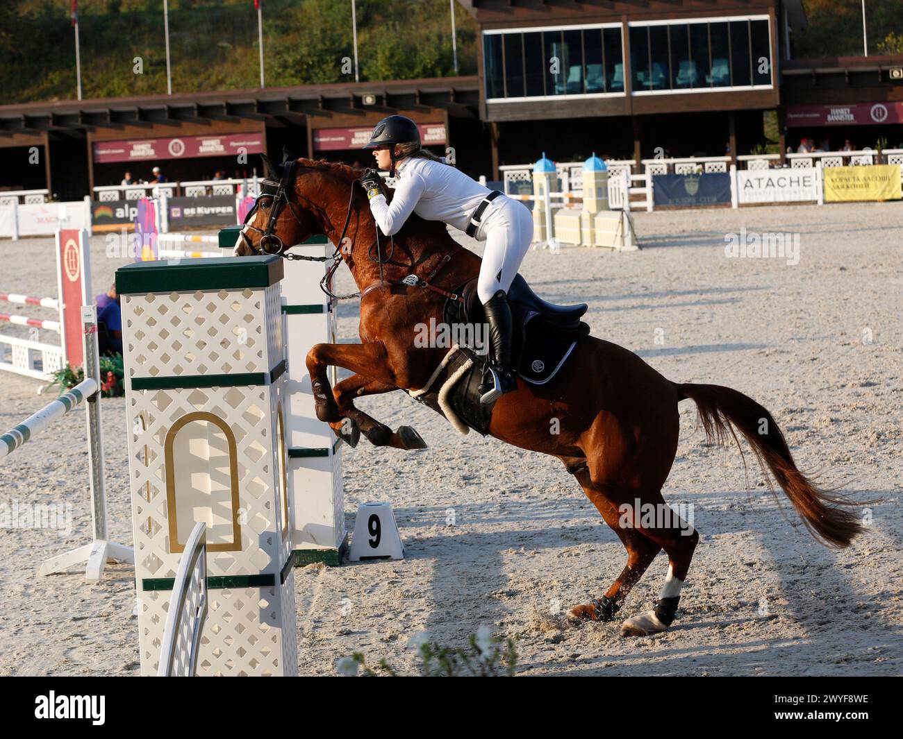 Show jumping is the most spectacular type of equestrian sport Stock ...