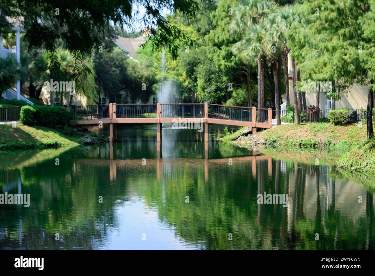 Bosque verde oscuro hi-res stock photography and images - Alamy