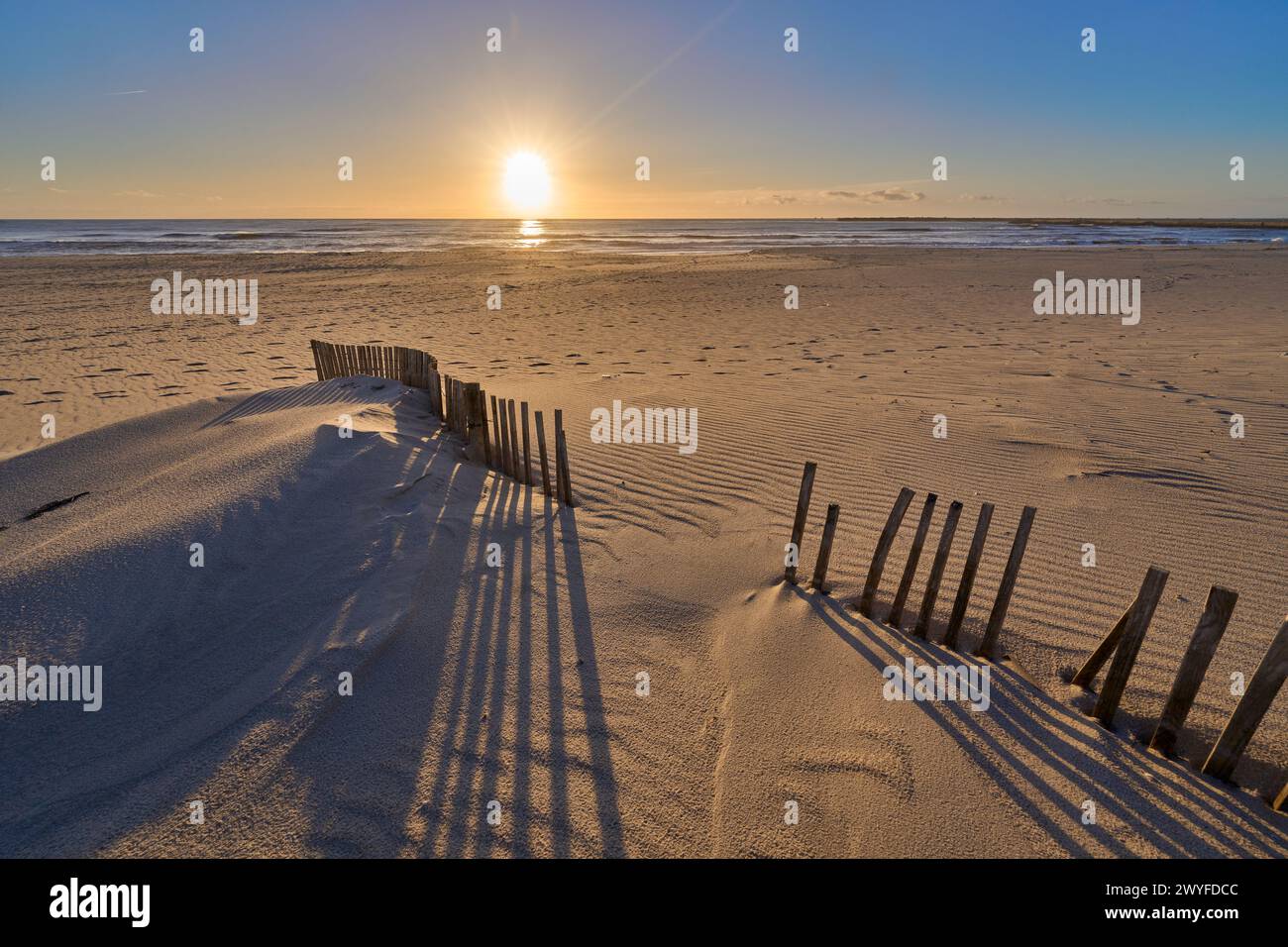 sunset over a golden beach at the Portuguese atlantic coast near Aveiro ...