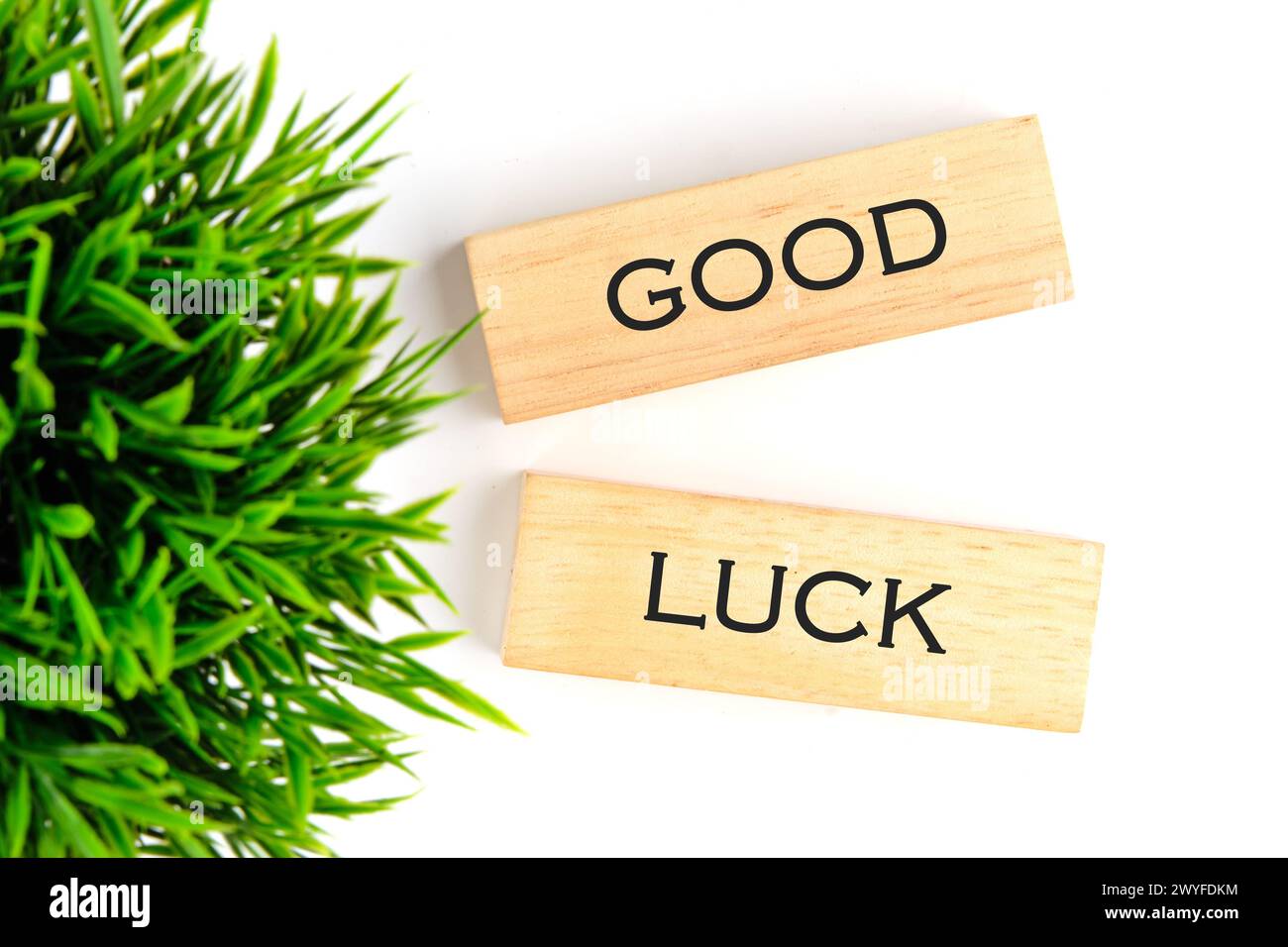 GOOD LUCK symbol on wooden blocks on a white background with a green ...