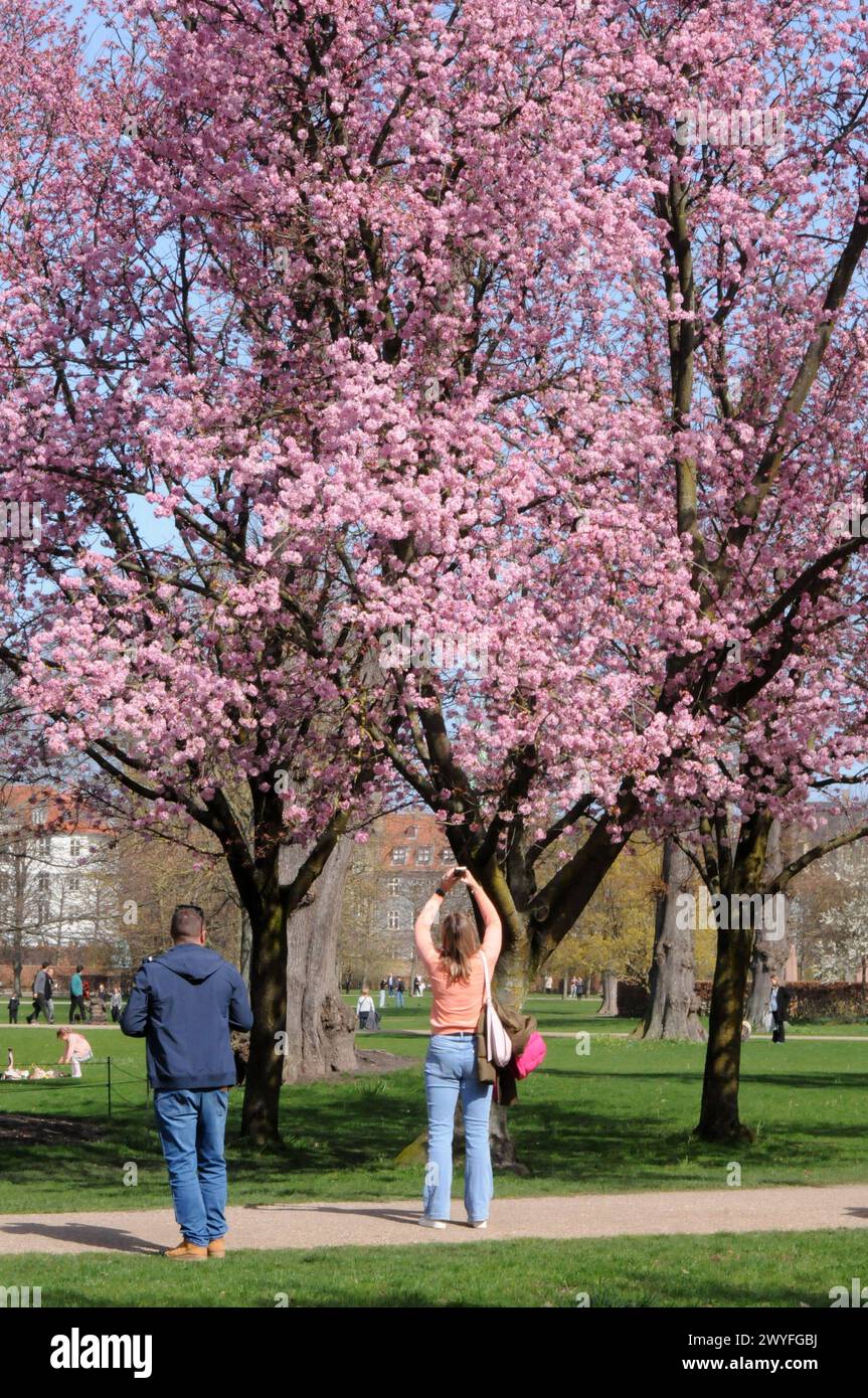 Copenhagen/ Denmark/06 April 2024/Visitors enjoy danish springs weather ...