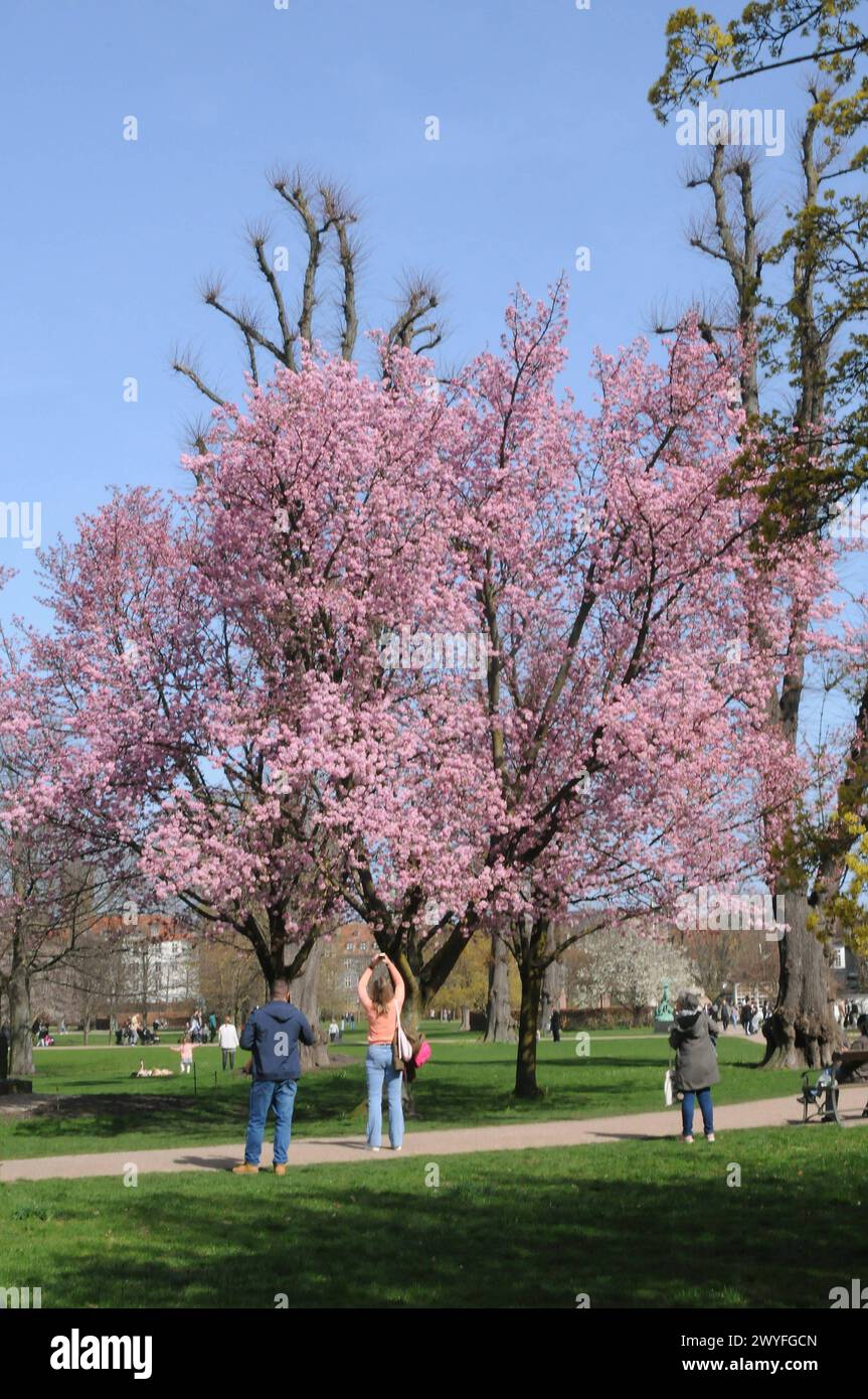 Copenhagen/ Denmark/06 April 2024/Visitors enjoy danish springs weather ...