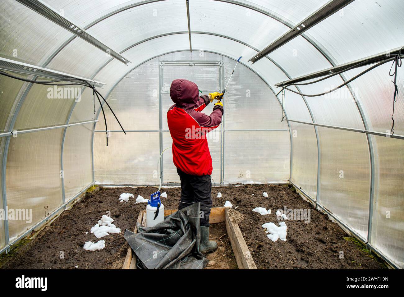 Empty clearing hi-res stock photography and images - Alamy