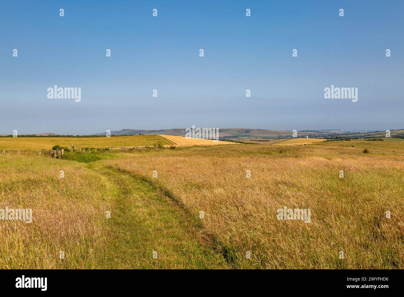 A pathway through the South Downs in Sussex, with a blue sky overhead ...