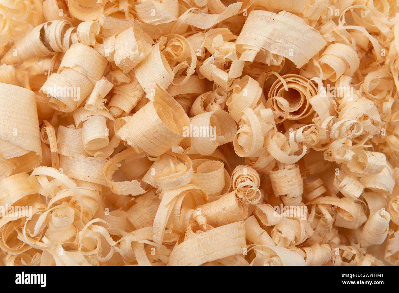 Wood shavings background close up. Wood shavings. Sawdust Stock Photo ...