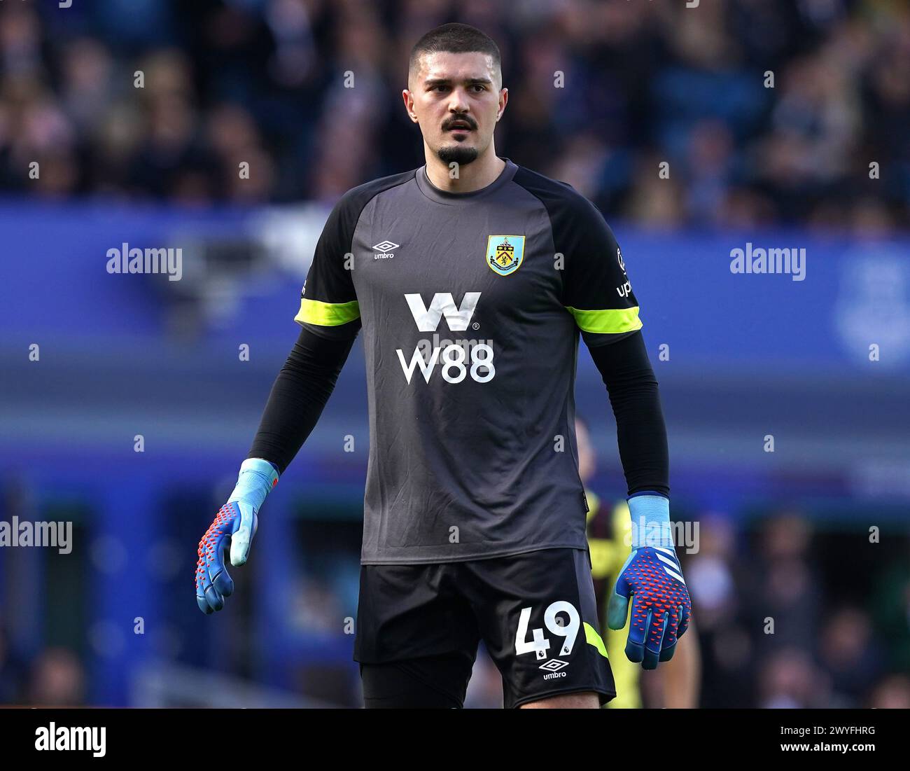 During the premier league match at goodison park, liverpool. picture ...