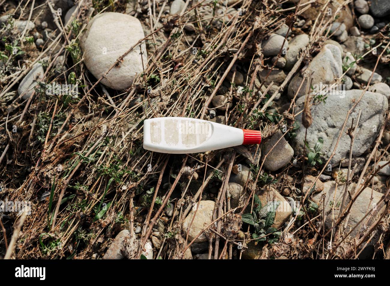 Plastic pollution along the banks of a river in the Po Valley (Cuneo ...