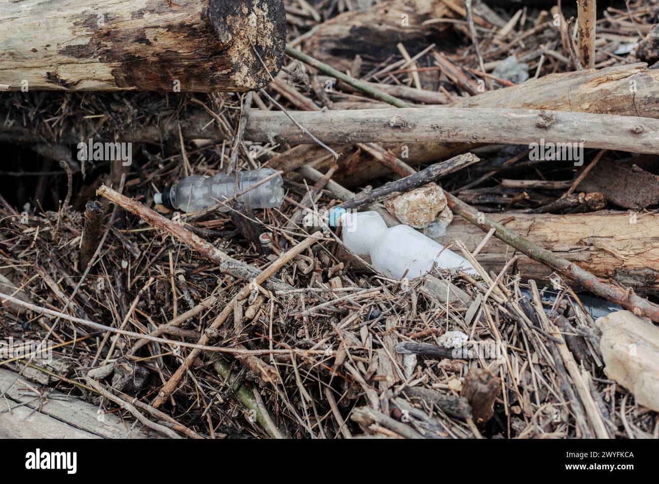Plastic pollution along the banks of a river in the Po Valley (Cuneo ...