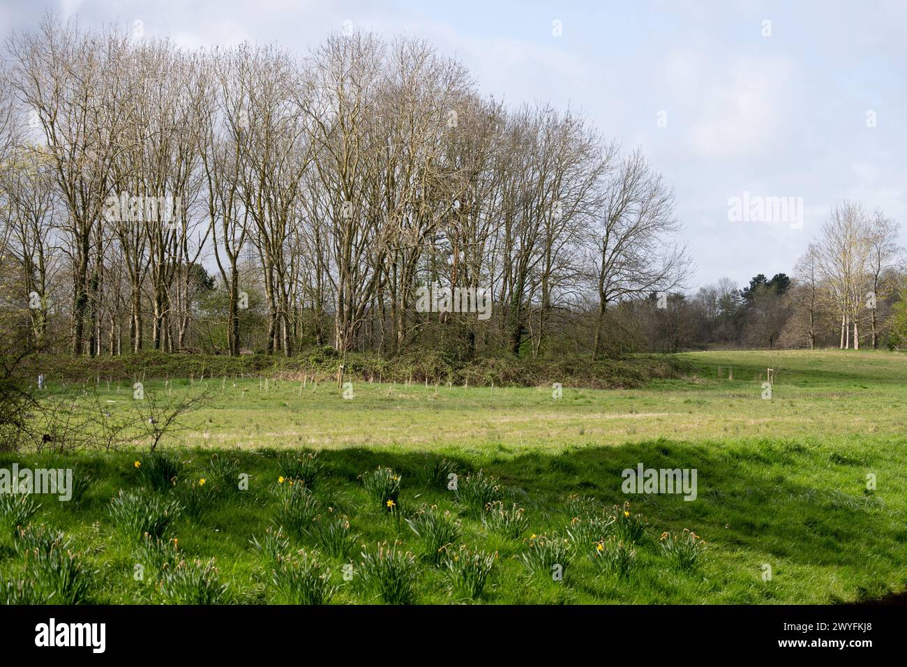 Hillfield Park, Monkspath, Solihull, West Midlands, England, UK Stock ...