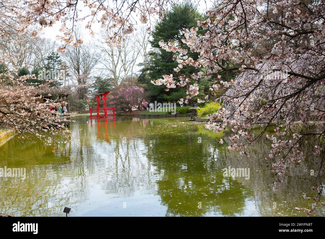 Early Spring at the Brooklyn Botanic Garden on Easter Sunday. Visitors ...