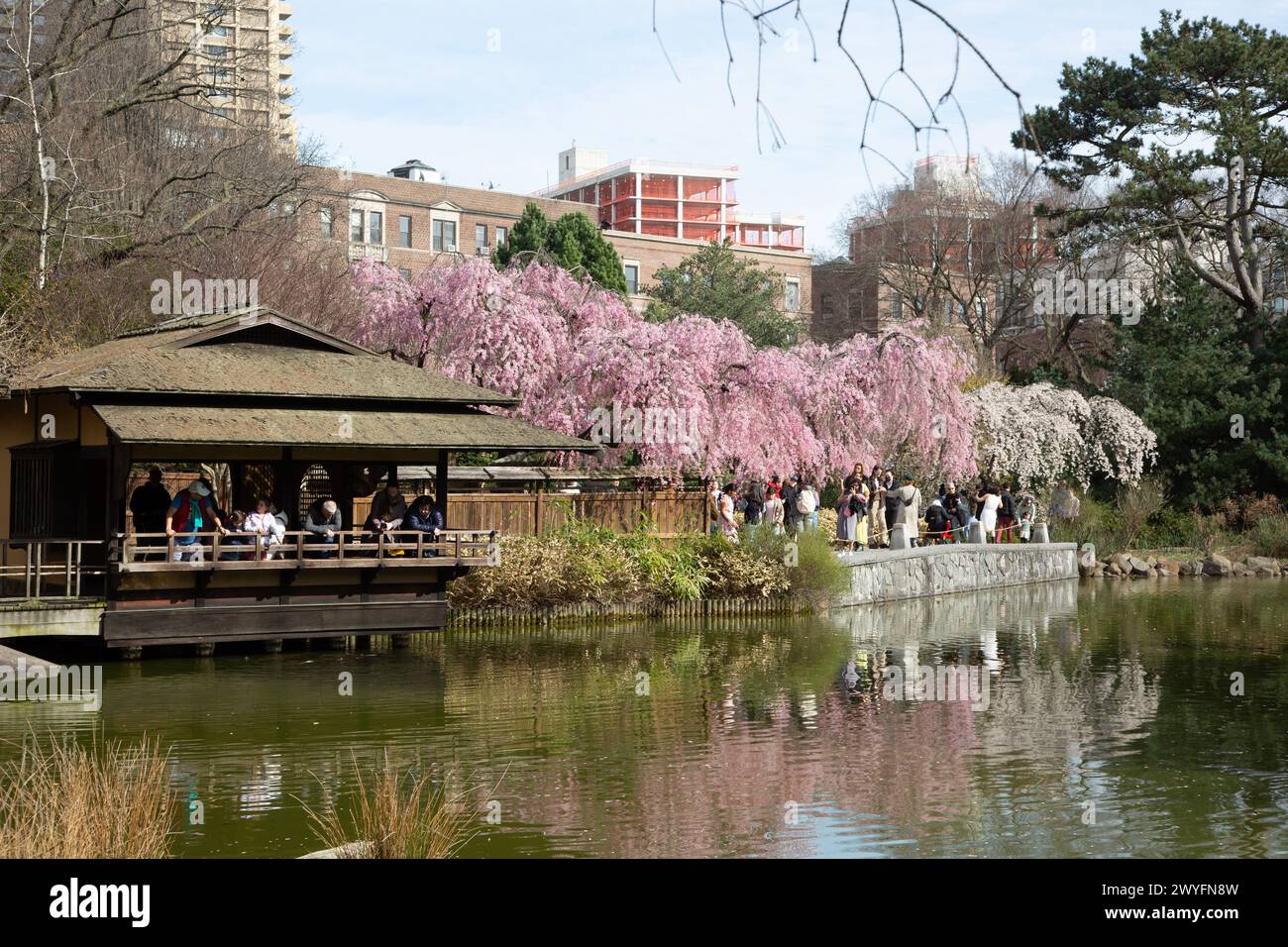 Early Spring at the Brooklyn Botanic Garden on Easter Sunday. Visitors ...