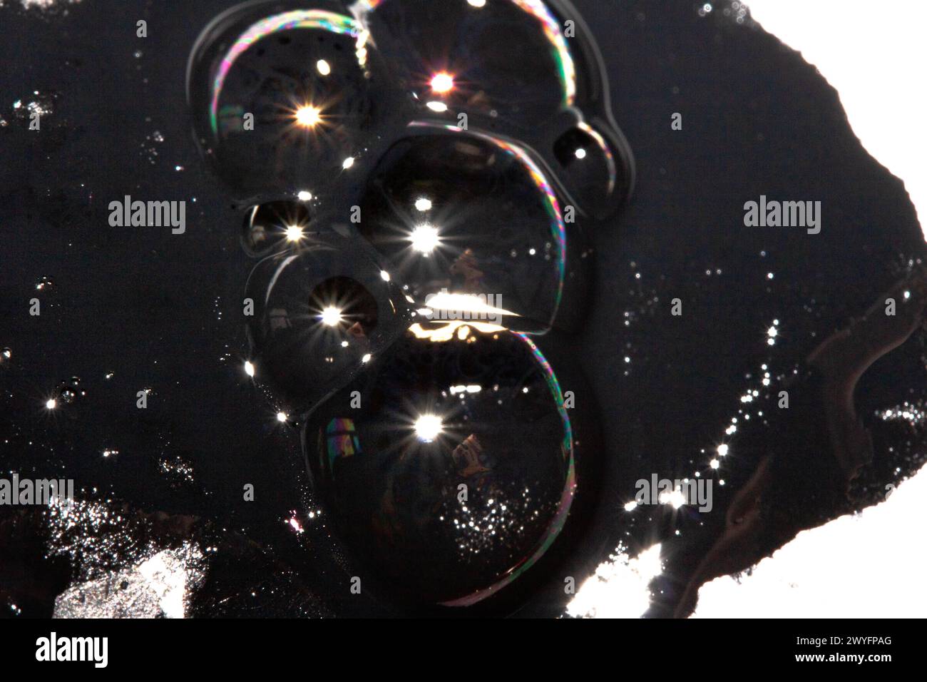 Black ink splatter hi-res stock photography and images - Alamy