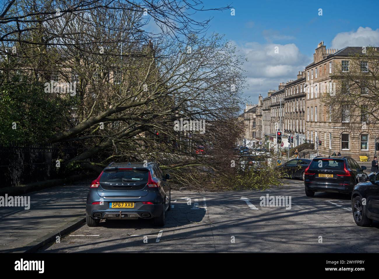 Edinburgh, Scotland, UK. 06 Apr 2024. UK Weather - Fallen tree, blown ...