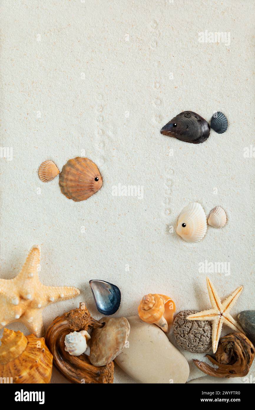 Fish made from shells and pebbles on fine sand. Imitation of the ...