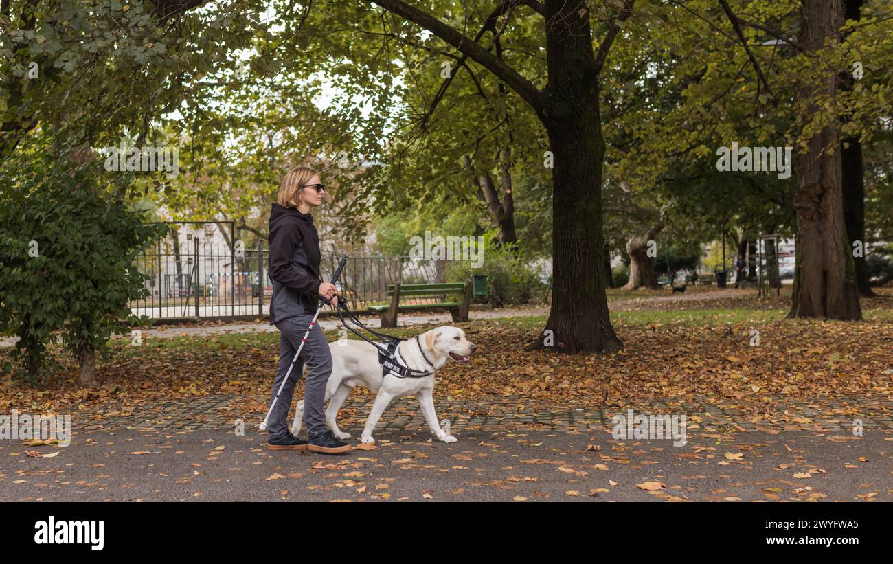Visually impaired woman walking along city park with a guide dog ...