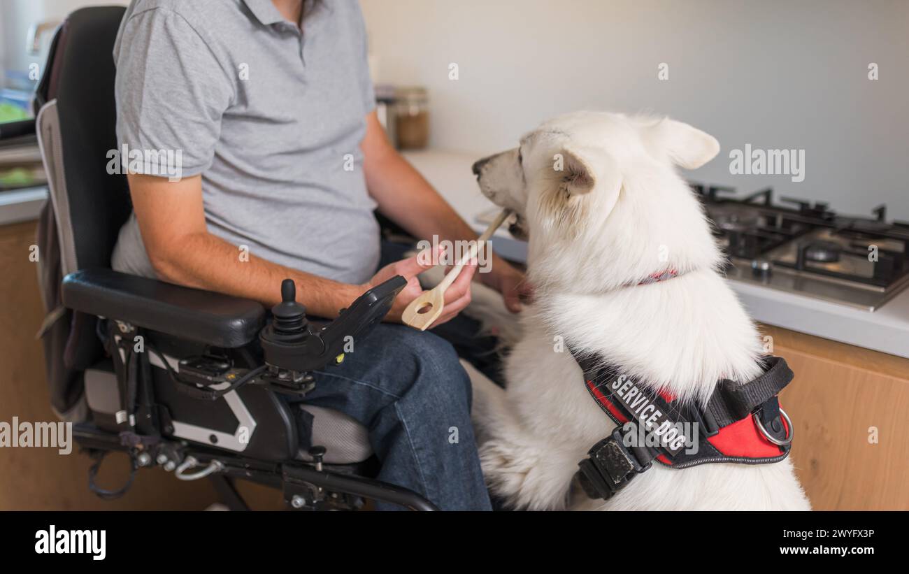 Everyday partnership and friendship between a man in the wheelchair and ...