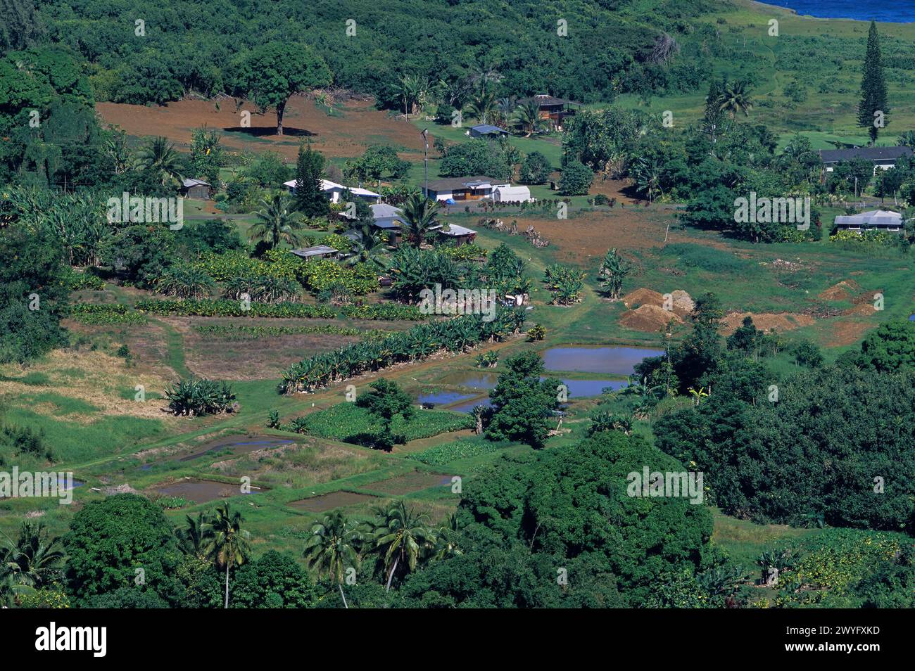 Maui, Hawaii, USA - Wailua, Hawaiian Settlement, Taro Ponds Stock Photo ...