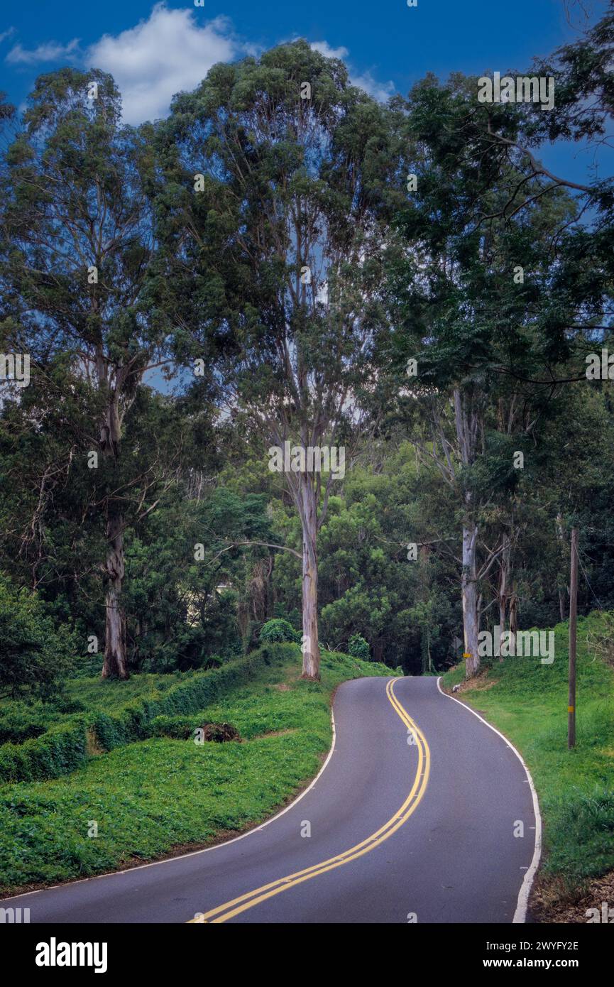 Maui, Hawaii, U.S.A. - Highway 37, southwest Maui Stock Photo - Alamy