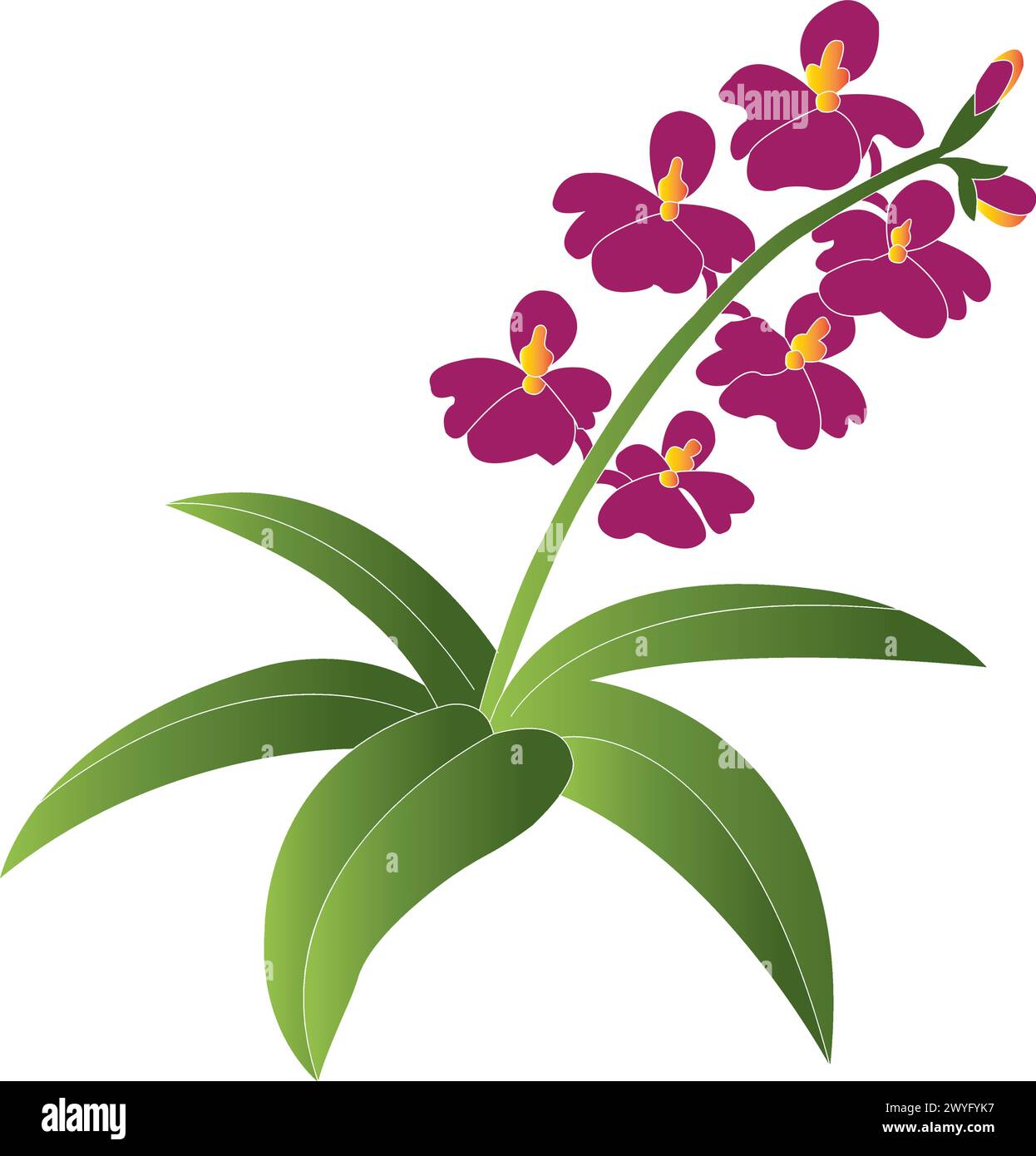 Orchid flower icon vector illustration symbol design Stock Vector Image ...