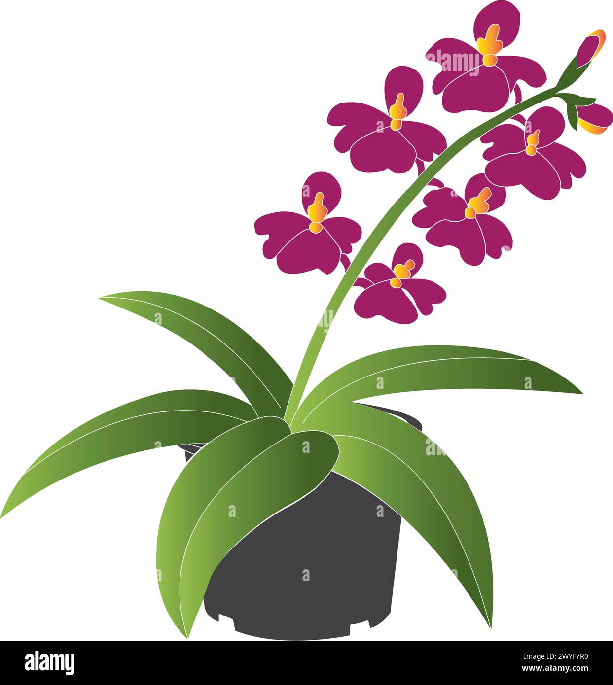 Orchid flower icon vector illustration symbol design Stock Vector Image ...