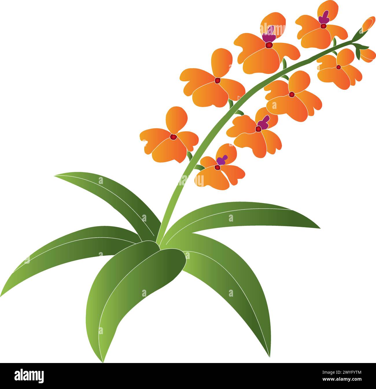 Stylized orchid branch design Cut Out Stock Images & Pictures - Alamy