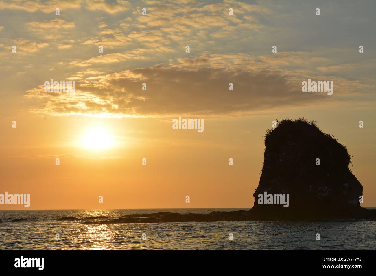 Full tropical moon with palm tree Stock Photo - Alamy