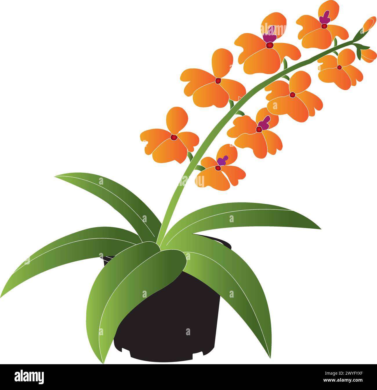 Orchid flower icon vector illustration symbol design Stock Vector Image ...