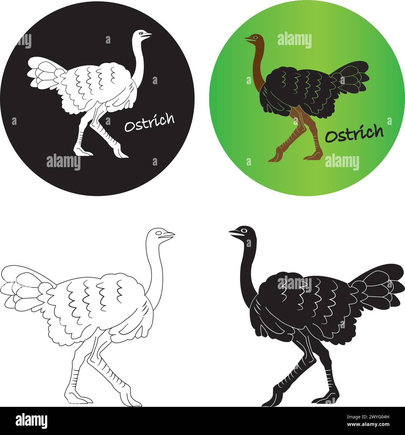 Ostrich icon vector illustration design Stock Vector Image & Art - Alamy