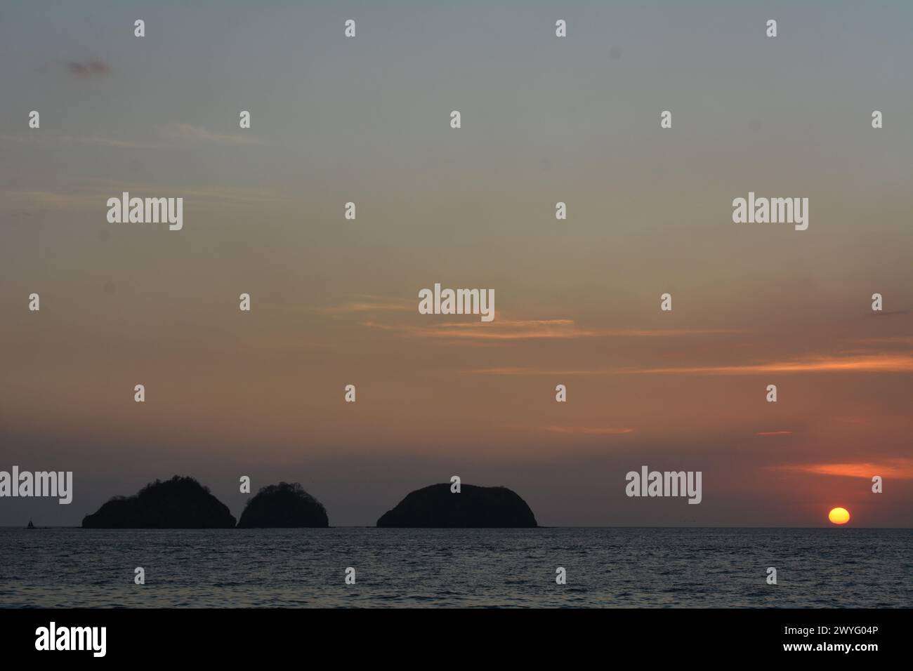 Full tropical moon with palm tree Stock Photo - Alamy