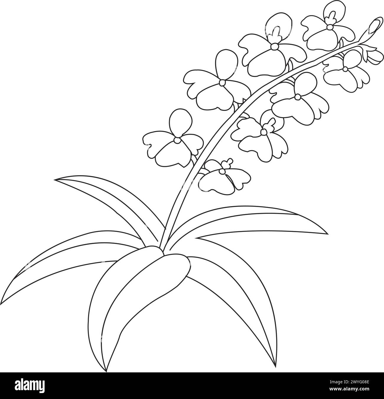 Orchid flower icon vector illustration symbol design Stock Vector Image ...