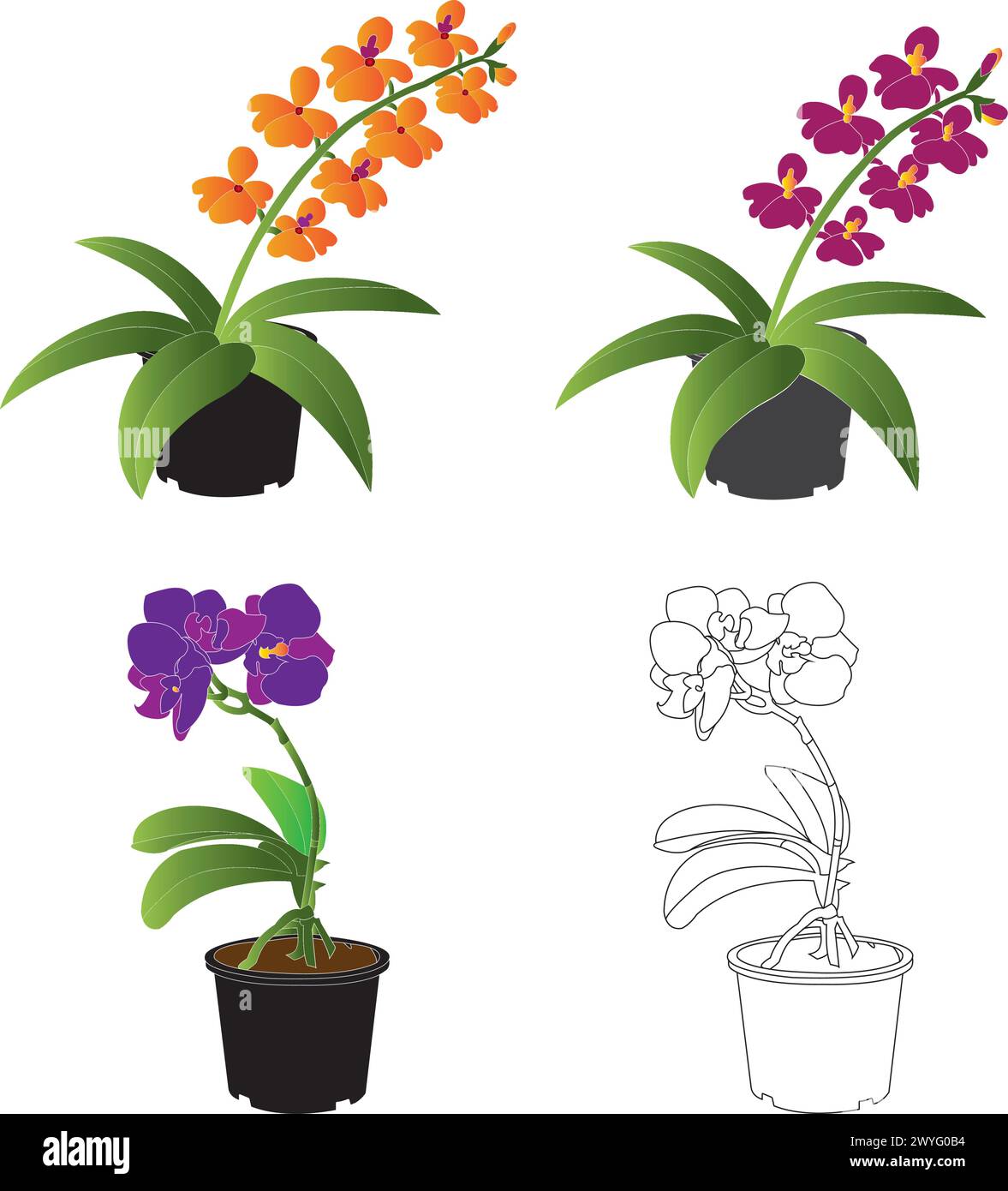 Orchid flower icon vector illustration symbol design Stock Vector Image ...