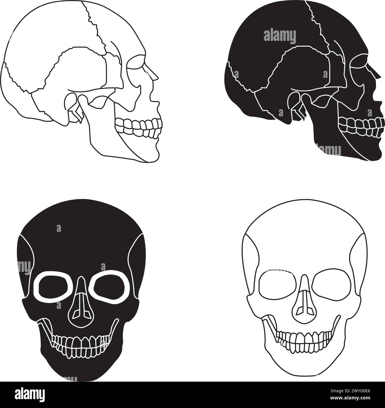 Human skull icon vector illustration symbol design Stock Vector Image ...