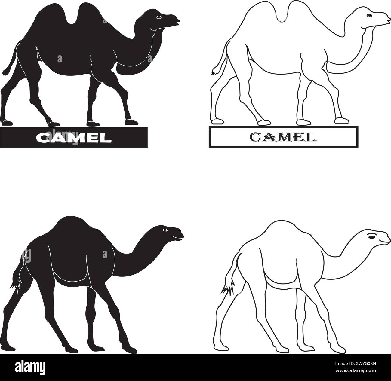 Camel logo vector illustration design Stock Vector Image & Art - Alamy