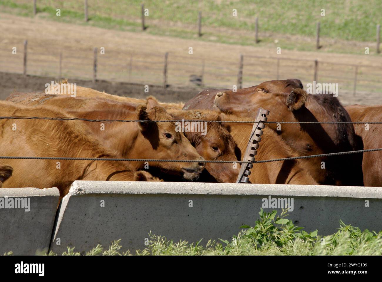 Rular America /Iowa /USA/ 13 june 2014 Life in small town rulaer ...